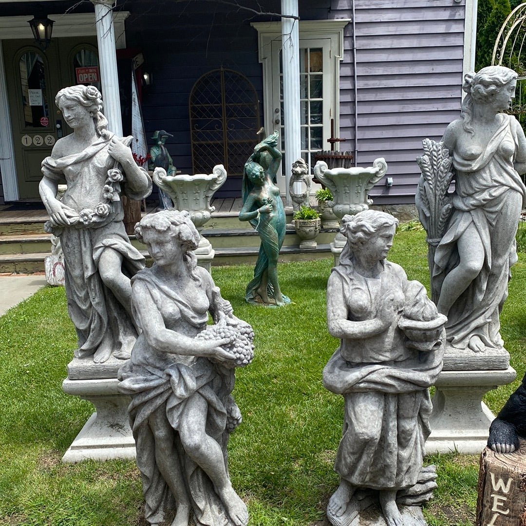 Collections – CBSD